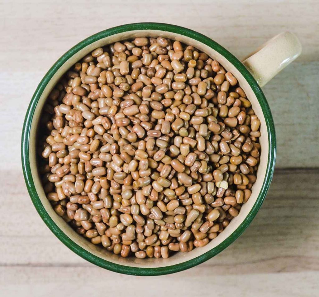 Moth Dal, Mattenbohnen - mampfness